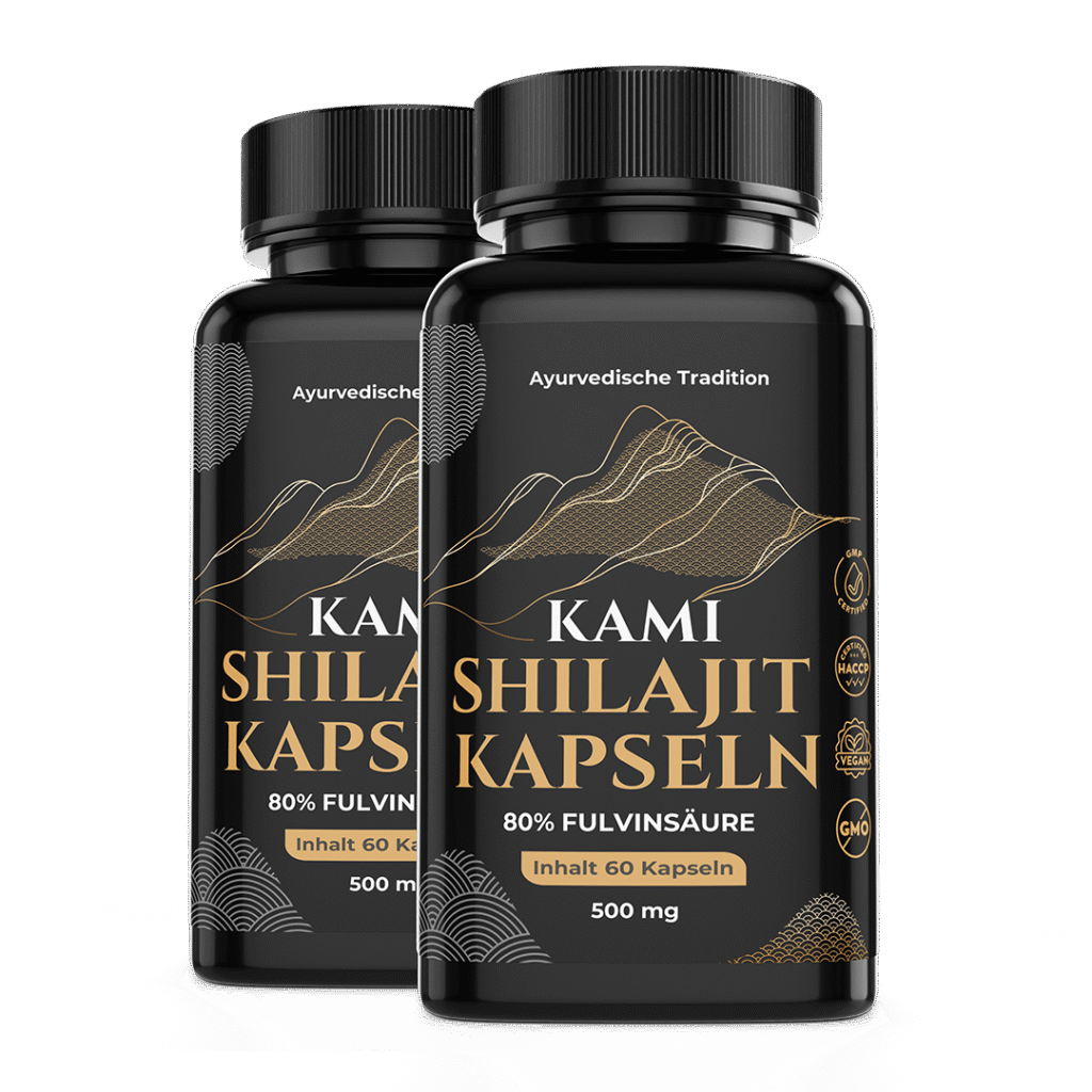 Shilajit Kapseln kaufen Schweiz - Kami Shilajit Shop