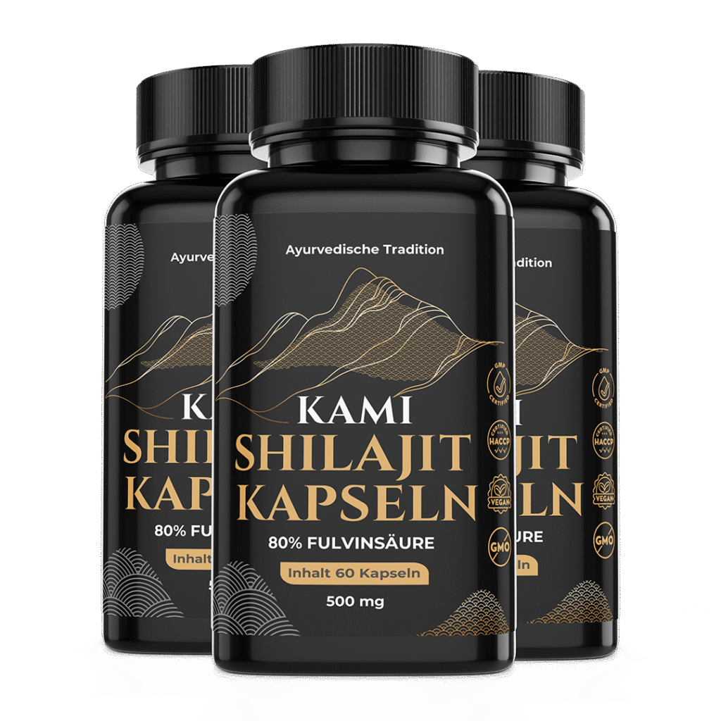 Shilajit Kapseln kaufen Schweiz - Kami Shilajit Shop